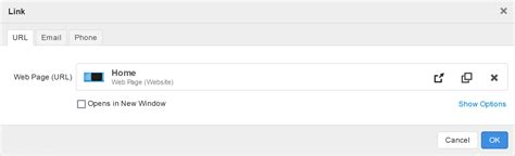 Rich Text Links Rich Text Editor Form View Views User Interface User Guide Webcomand
