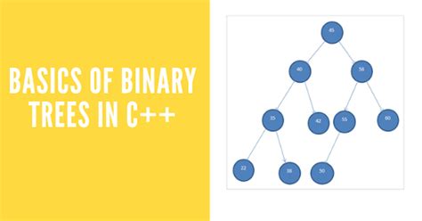 beginners guide to binary trees basics of binary trees