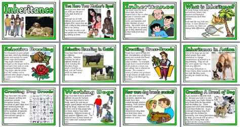 Inheritance Inheritance Ks