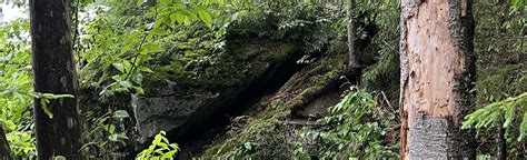 Alltrails Maidstone Lake Loop 7 Reviews Map Vermont