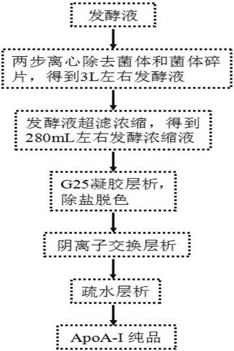 Method For Large Scale Purification Of Recombinant Human Apolipoprotein Apoa I Eureka Patsnap