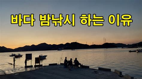 바다 밤 낚시하는 이유는 바로 사랑때문 입니다포구바닷가 방파제 낚시 해는지고 별이 뜨는밤에 오손도손 파도소리와함께 Youtube