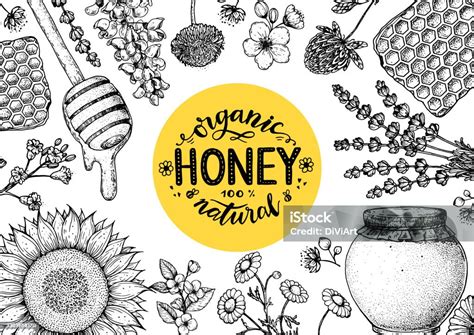 꿀 손으로 그린 벡터 일러스트 건강한 음식 일러스트레이션 레터링 유기농 꿀 100 천연 벌집 꽃 꿀 스케치 항아리 꿀에 대한