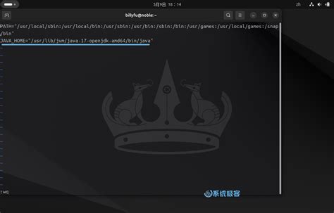 如何在 Ubuntu 2404 Lts 上安装 Java 系统极客 如何在 Ubuntu 2404 Lts 上安装 Java 系统极客