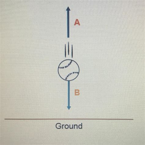 a and b are forces acting on a falling object which force a or b
