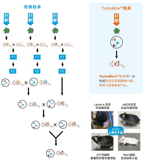 广州明迅生物科技有限责任公司 我的网站