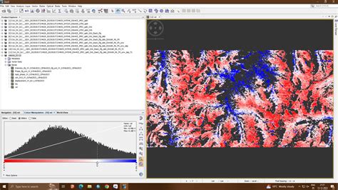 Different Velocity Results Generated From Dinsar And Offset Tracking Techniques Microwave