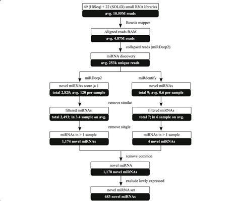 Workflow Of The Mirna Discovery Analysis The Steps Taken For The Download Scientific Diagram