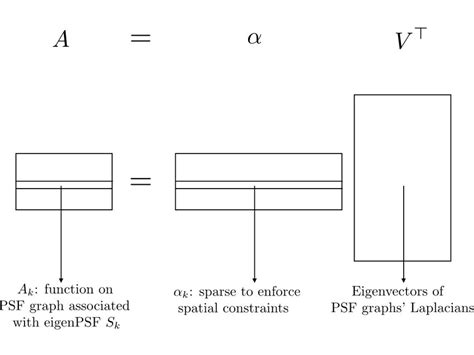 Matrices Involved In The Spatial Constraints Download Scientific Diagram