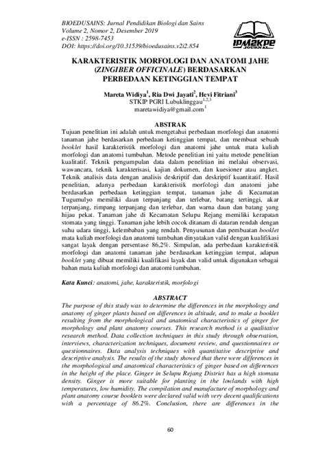 Pdf Karakteristik Morfologi Dan Anatomi Jahe Zingiber Officinale Berdasarkan Perbedaan
