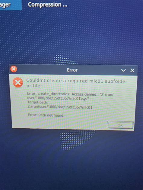 Weird Error Trying To Launch Cemu On Steam Deck Rcemupiracy