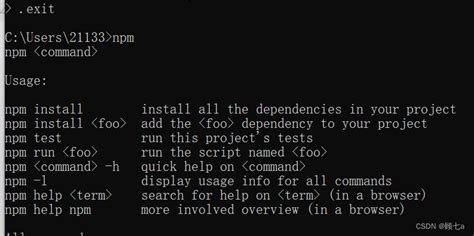 下载安装npm 配置环境变量详细教程 npm环境变量配置 csdn博客