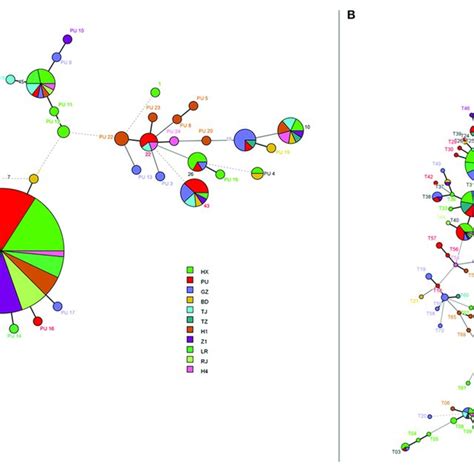 Minimum Spanning Tree Analysis Based On Allelic Profiles Of