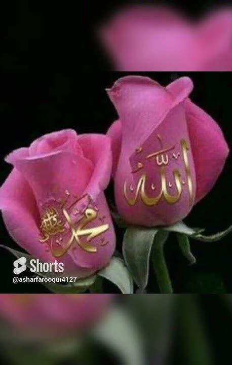 Aaj Kuchh Bhi Ho Jaaye Like Nahin Rukne Chahie Subhan Allah Youtube