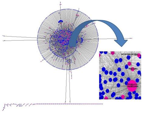 The Ability To Extract Meaningful Data From Ever Expanding Databases Is