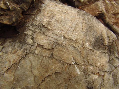 Cleavage Geology Is The Way