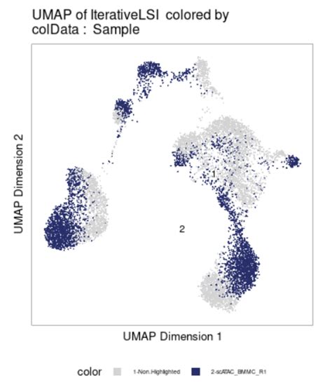 Displaying Separate Umaps For Samples Processed Together · Greenleaflab