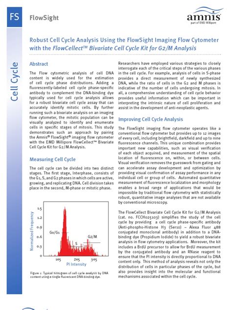 PDF Robust Cell Cycle Analysis Using The FlowSight Imaging Flow Cytometer With The