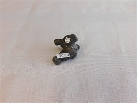 Turtle Vertebra Fossil Fossils And Artifacts For Sale Paleo Enterprises