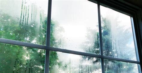 How Do You Get Moisture Out Of Double Pane Windows