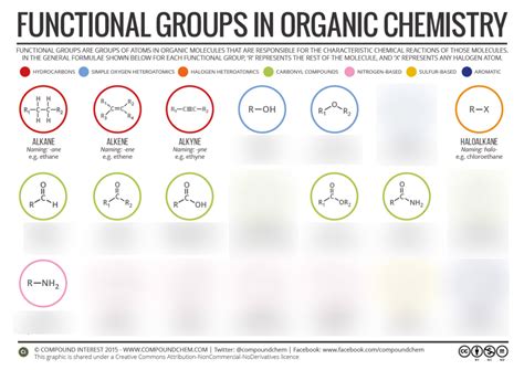 Functional Groups Diagram Quizlet Functional Groups Diagram Quizlet