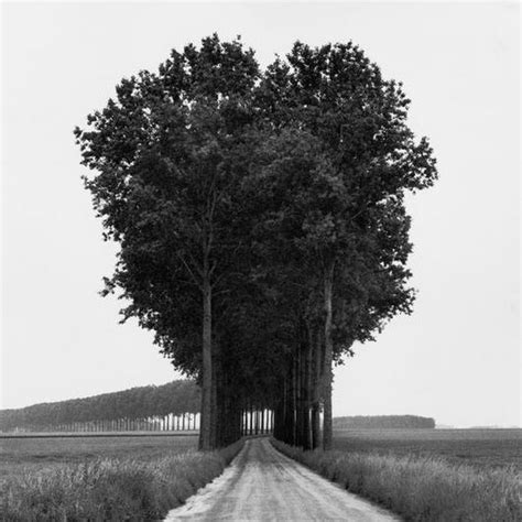 Aaron Tanedo Youtube