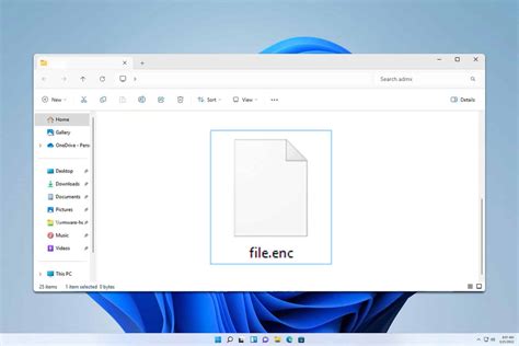 Convert Enc File Into Different Formats How To Do It