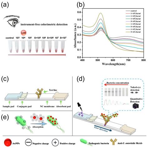 Gold Nanoparticle Based Colorimetric Biosensing For Foodborne Pathogen Detection