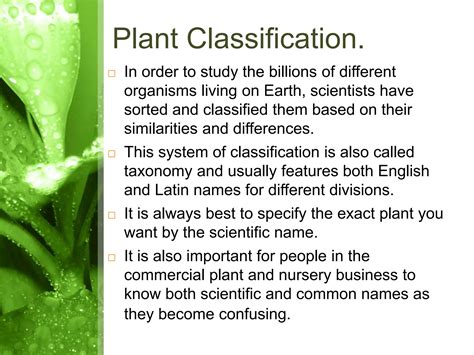 Plantclassification Ppt Gardening Home And Garden