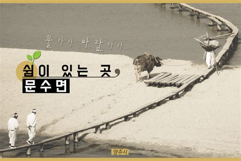 영주시yeongju 물 따라 바람 따라 떠나보는 문수면 여행 😌🏝 나에게 쉼표가 필요한 순간