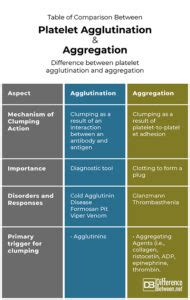 Difference Between Platelet Agglutination And Aggregation Difference Between Platelet