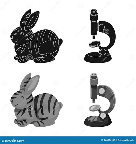 Vector Design Of Test And Synthetic Icon Collection Of Test And Laboratory Stock Symbol For Web