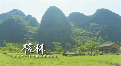 短视频 广西壮族自治区广播电视局网站