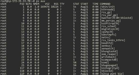 How To List Running Processes In Ubuntu Server With Ps Aux