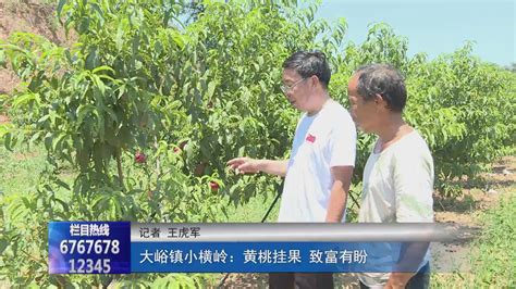 胸怀梦想不忘初心 脚踏实地砥砺前行 济源网