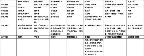 寄生虫笔记word文档在线阅读与下载免费文档
