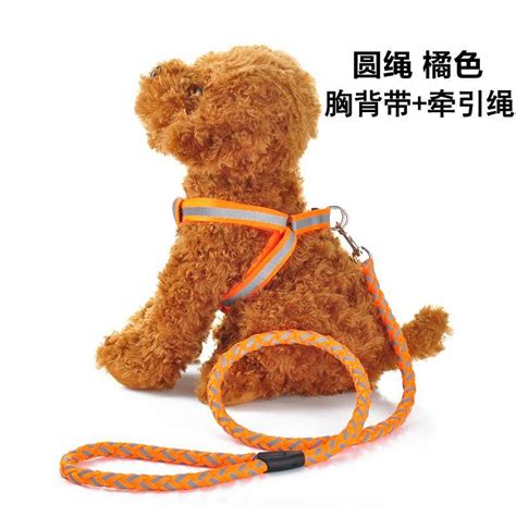 反光牽引繩狗狗小中大型犬遛狗鏈子胸背帶項圈泰迪狗狗用品狗繩子狗项圈 寵物項圈客製 露天市集 全台最大的網路購物市集