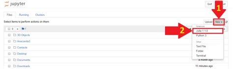 Jupyter Notebook Dan Julia Softscients