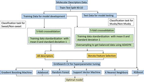 Overall Workflow Of Model Development For The Classification Tasks