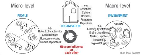 Illustration Of Micro And Macro Level Determinants That Are Suggested