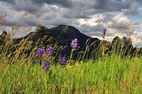 내게 온 기회도 붙잡지 못하면 금방 가버리지요