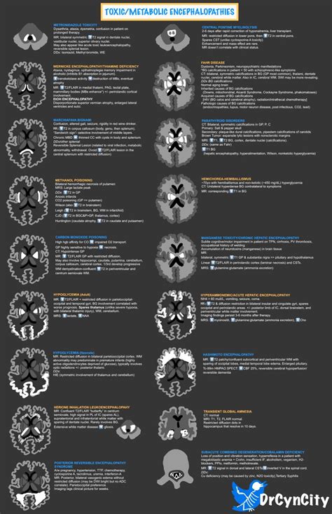 Differential Diagnosis Encephalopathies Encephalopathy Brain