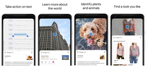 looking for image recognition app here s everything you need