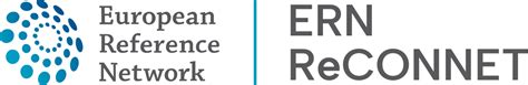 Ern Reconnet Bursaries For Eular 2023 Ern Reconnet European