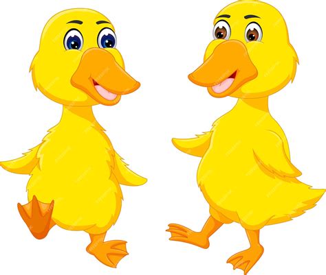 Premium Vector Twin Duck