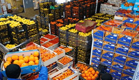 Оптовые овощные базы