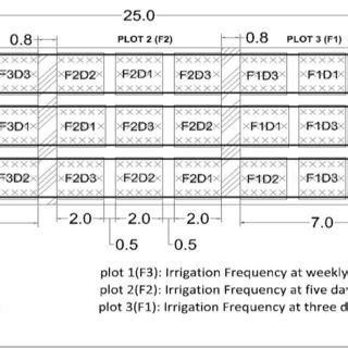 Field Layout Of The Experiment Download Scientific Diagram