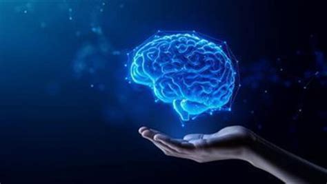 Mitochondrial Dysfunction In Neurodegenerative Disorders Nexus Newsfeed