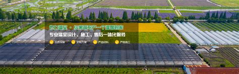 温室大棚 连栋温室大棚 蔬菜大棚 惠州市也力温室科技有限公司