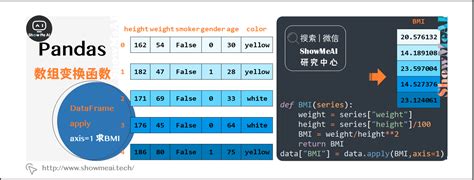 showmeai知识社区